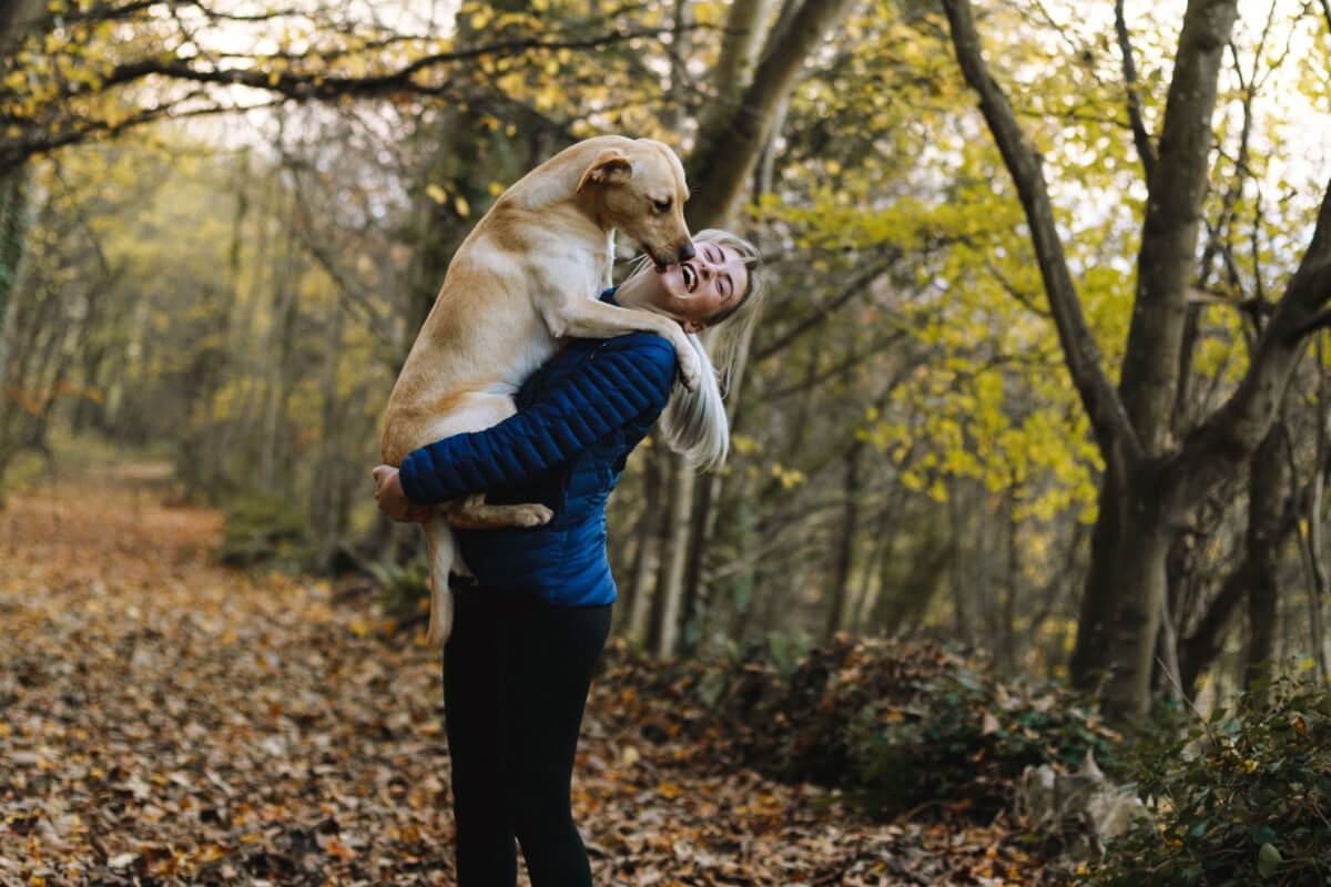 Where To Start With Dog Training Dog Training Tips Where To Start With Dog Training Dog Training Tips